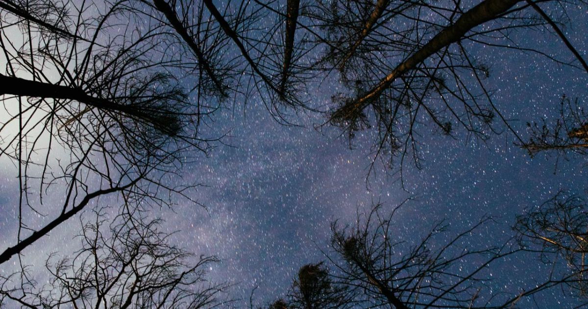 Luxury Star Gazing Experiences | Starlight Season at Siwash Lake